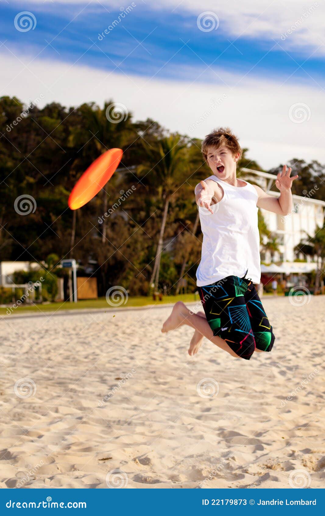 Frisbee stock image. Image of resort, sand, disc, frisbee - 22179873