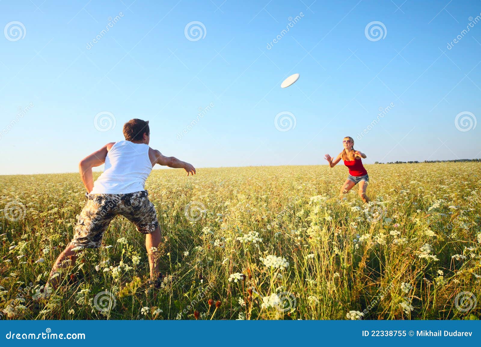 Frisbee stock image. Image of flowers, flying, figure - 22338755