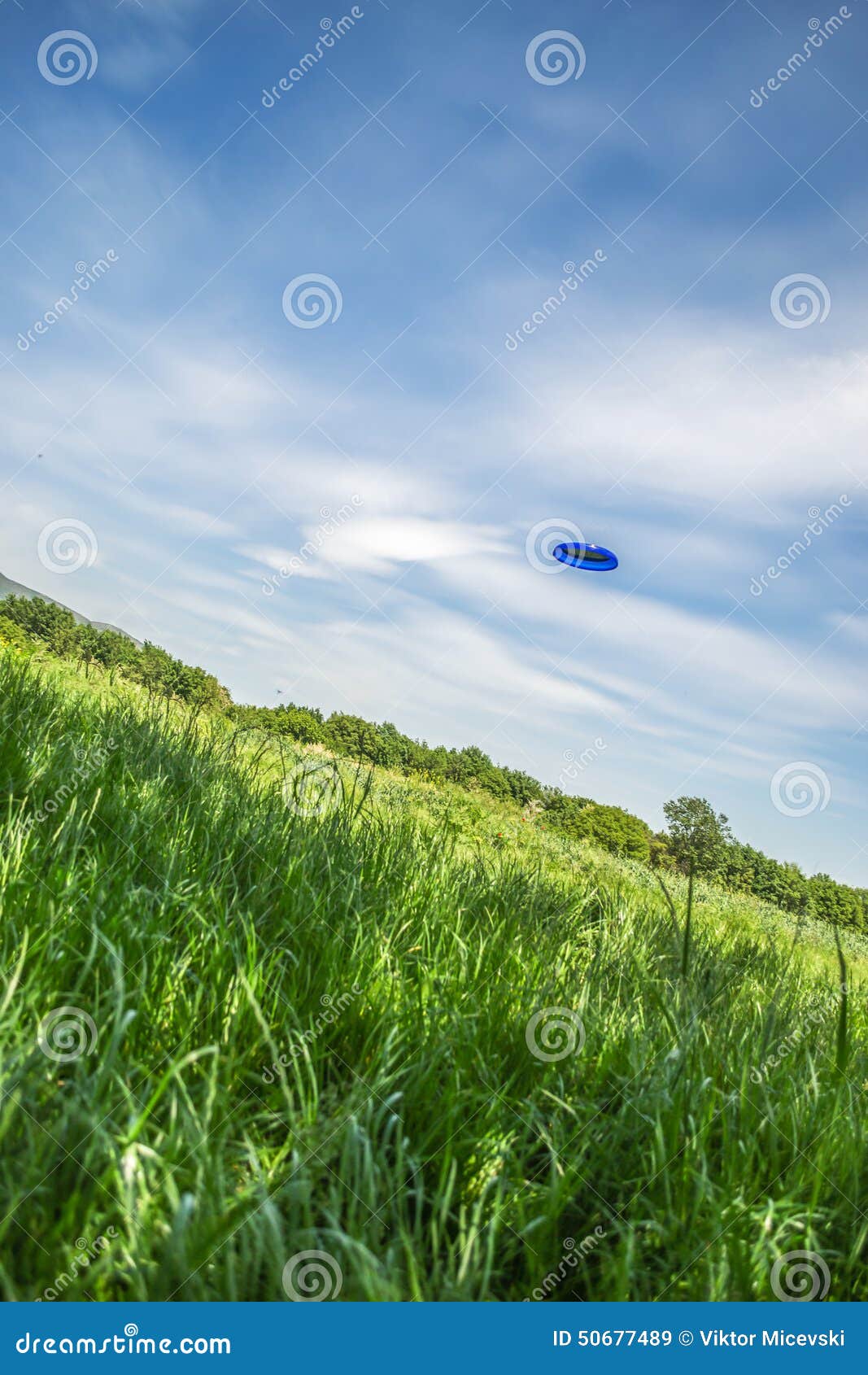 Frisbee stock image. Image of activity, recreation, outdoors - 50677489