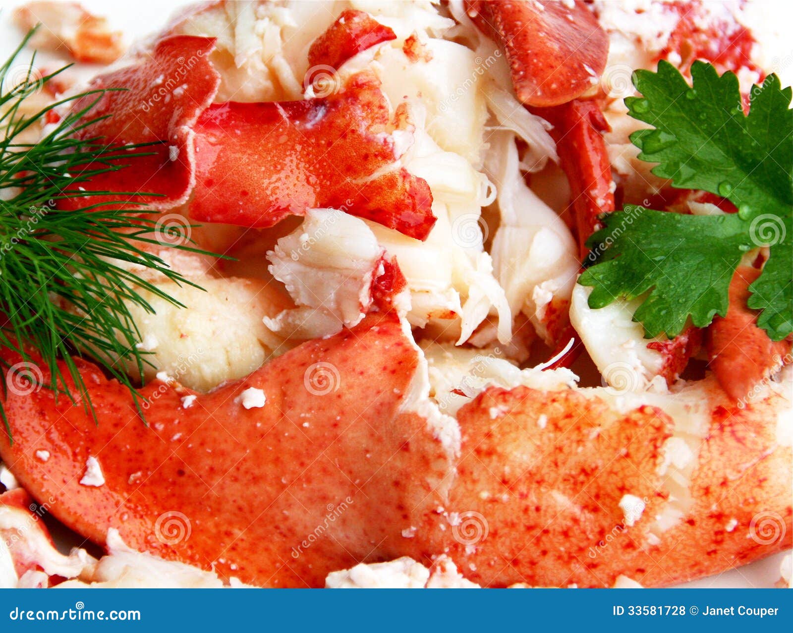 Frisch gekochter Hummer stockfoto. Bild von kulinarisch - 33581728