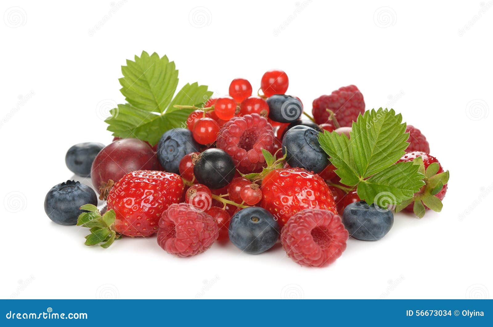 Frische Beeren stockfoto. Bild von verschieden, nachtisch - 56673034