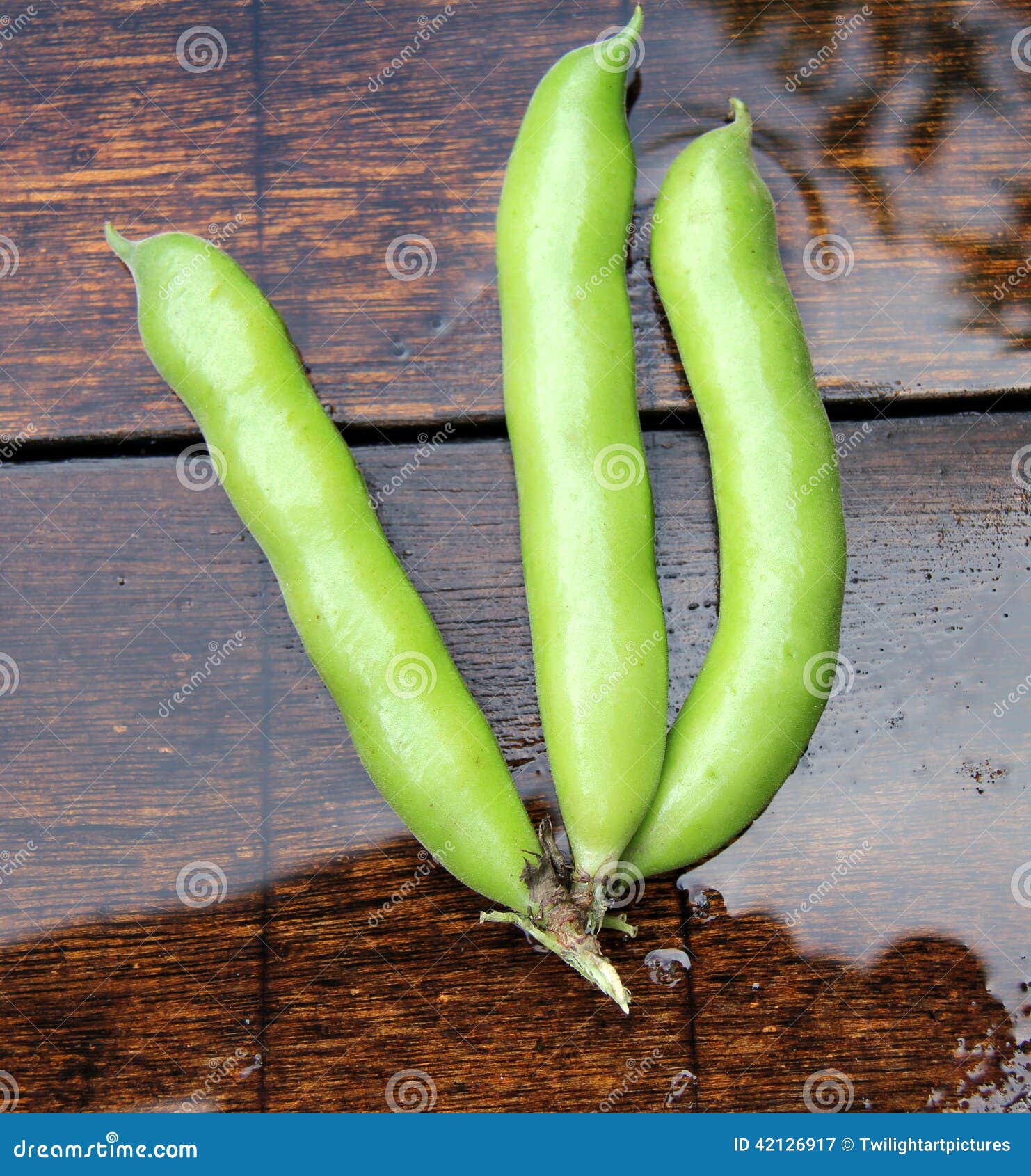 Frische Bohnen stockbild. Bild von wetzen, bohnen, hülsen - 42126917