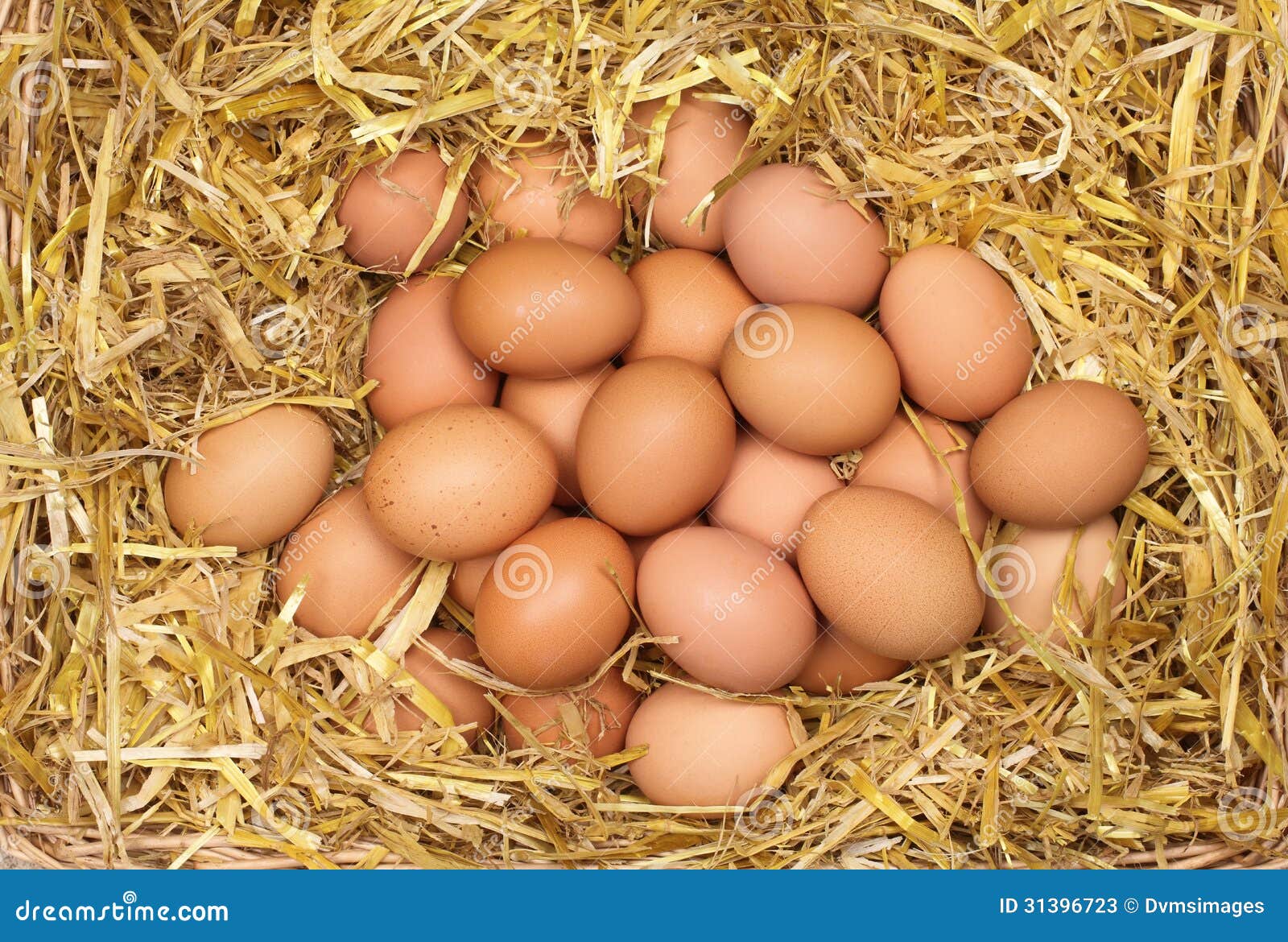 Frische Eier im Stroh stockbild. Bild von erzeugnis, eier - 31396723