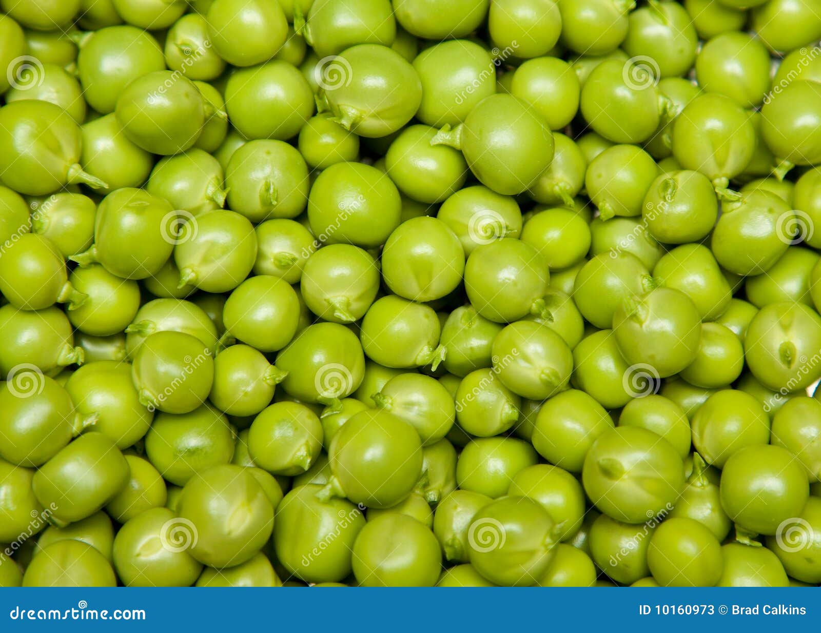 Frische Erbsen stockbild. Bild von farbe, hintergrund - 10160973