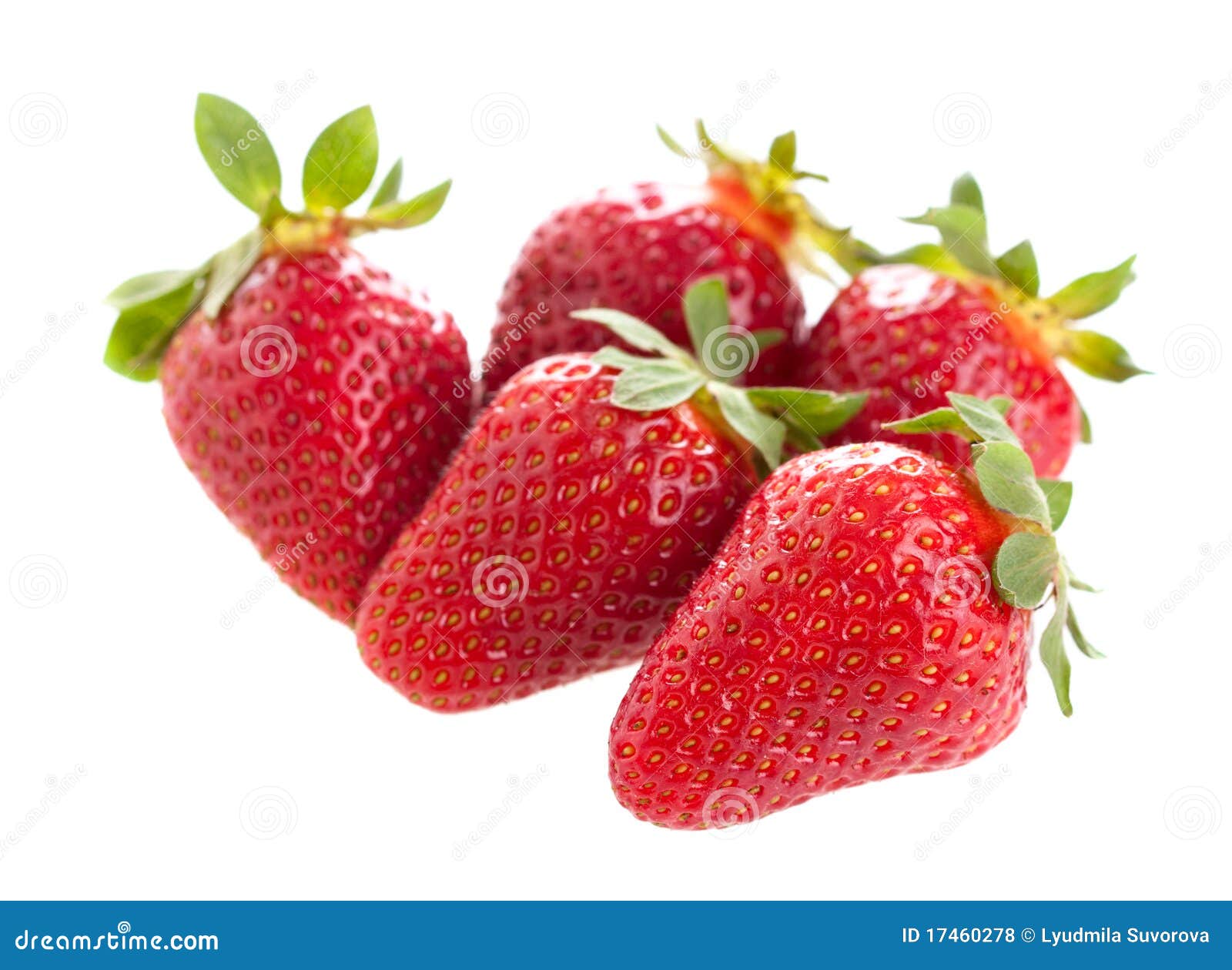 Frische Erdbeeren stockfoto. Bild von frisch, reif, feinschmecker ...