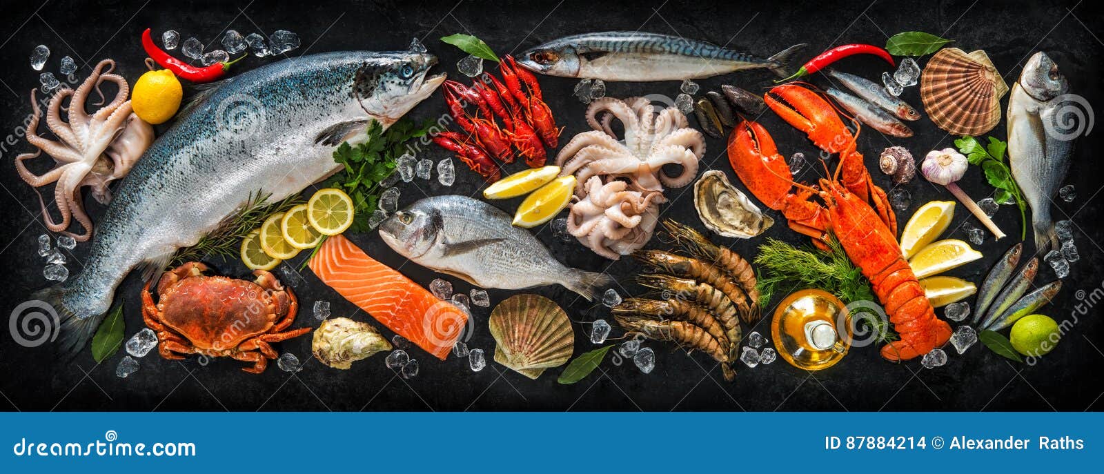 Frische Fische Und Essbare Meerestiere Stockfoto - Bild von kochen ...