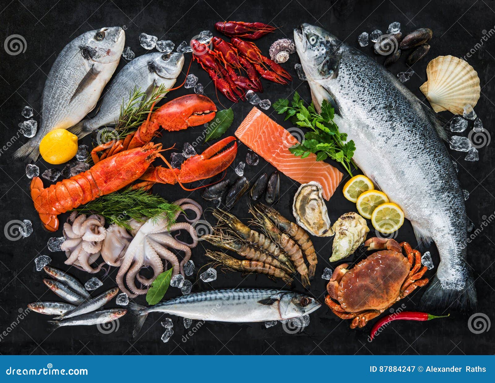 Frische Fische Und Essbare Meerestiere Stockbild - Bild von kopf ...