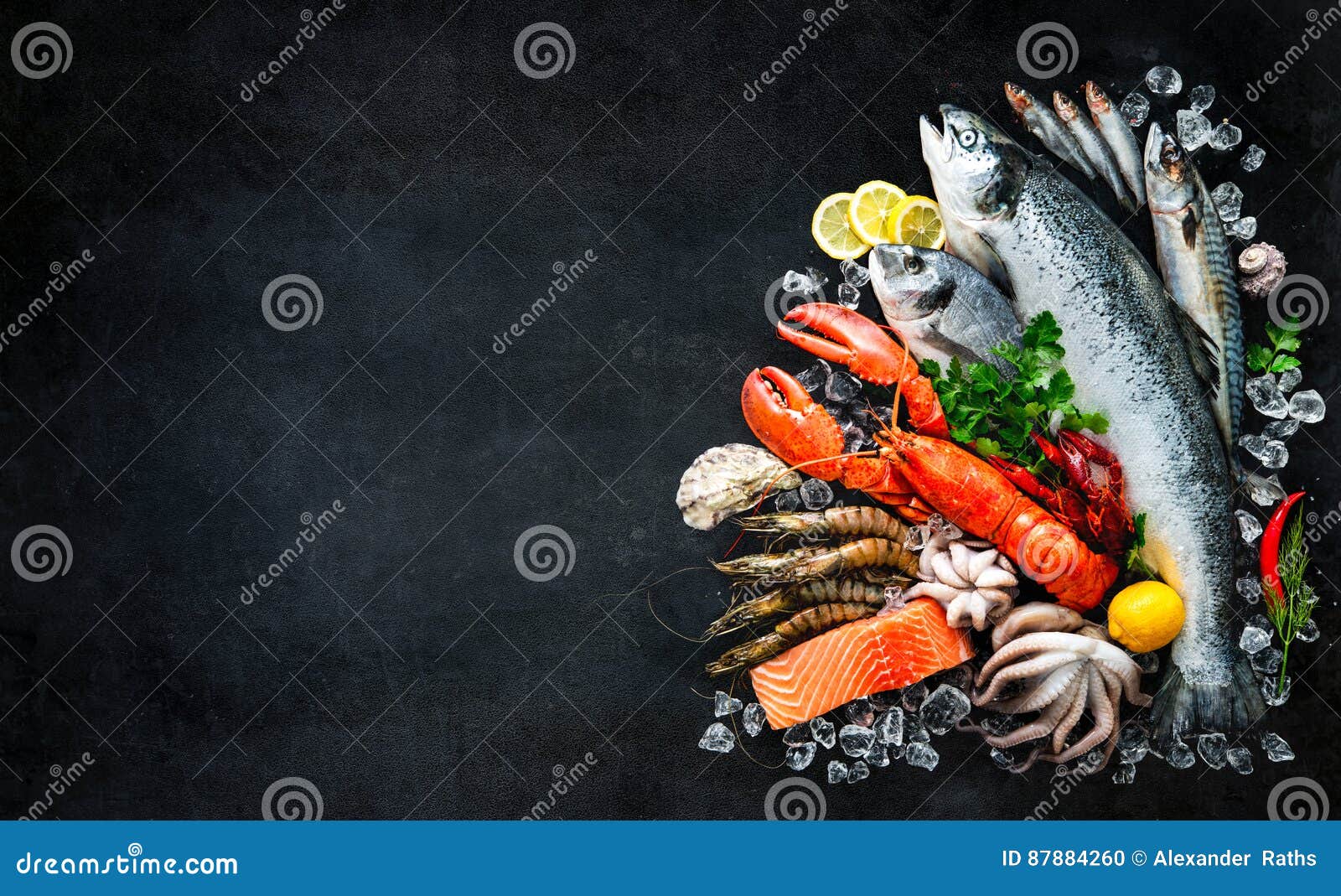 Frische Fische Und Essbare Meerestiere Stockfoto - Bild von austern ...