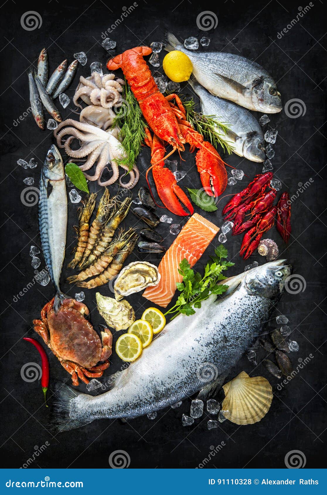 Frische Fische Und Essbare Meerestiere Stockfoto - Bild von küche ...