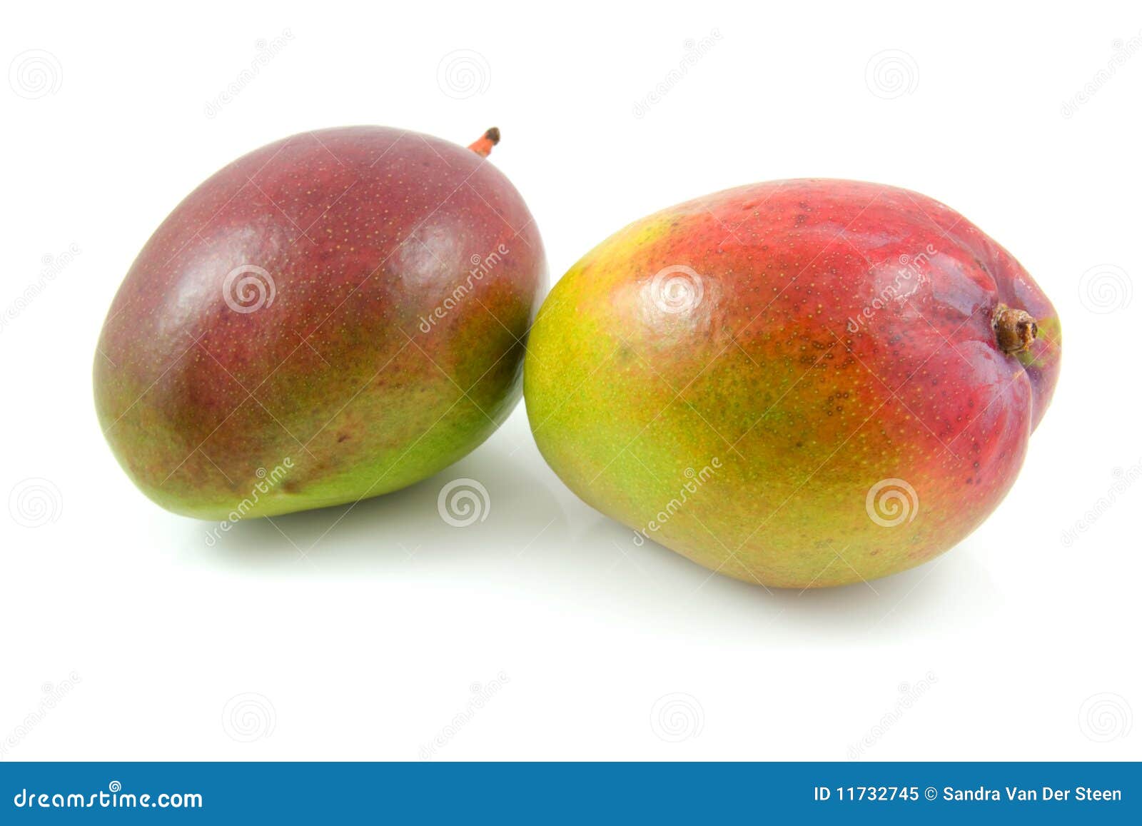 Frische Frucht Der Mangofrucht Zwei Stockbild - Bild von exotisch ...
