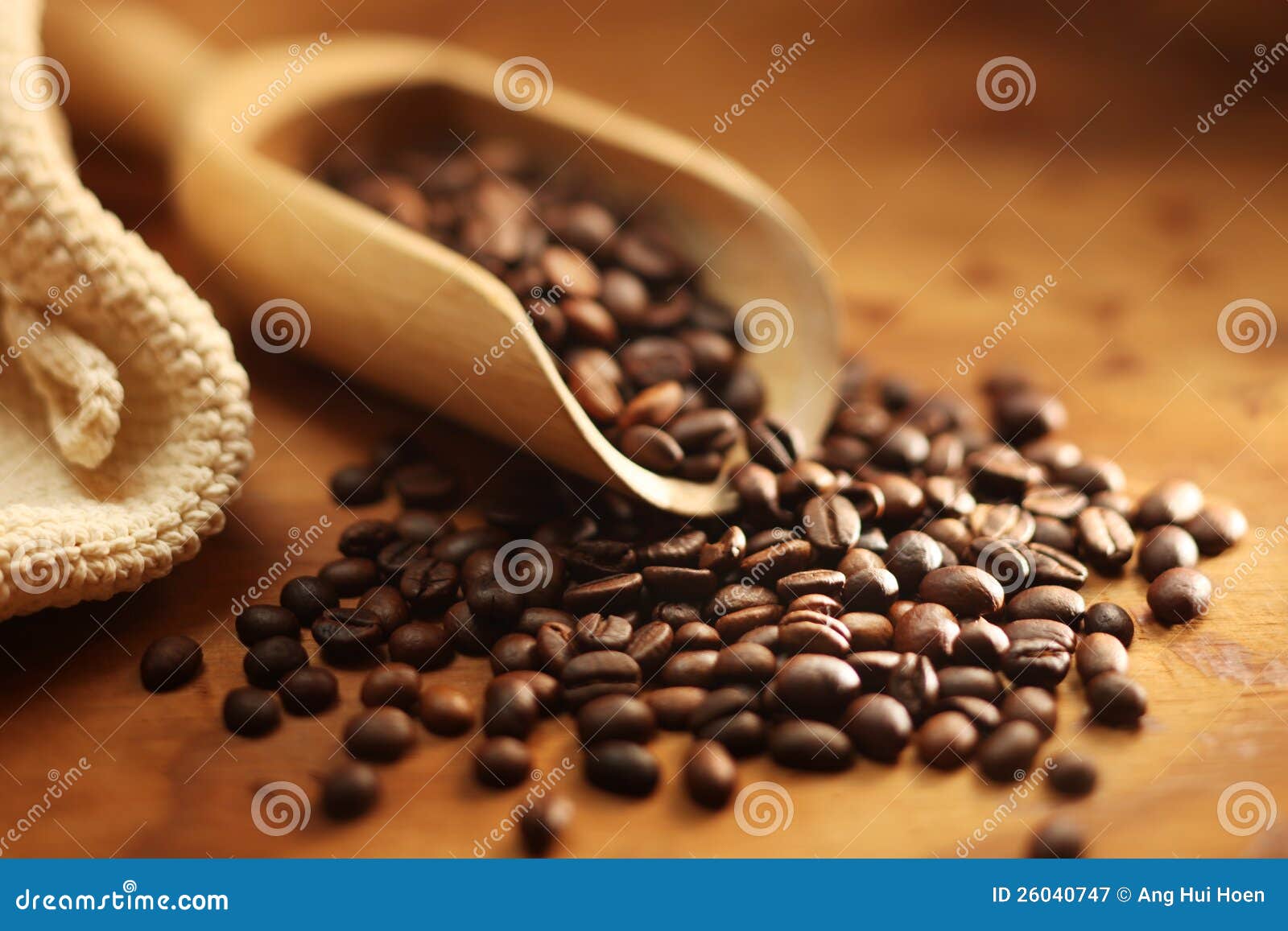 Frische Kaffeebohne stockbild. Bild von bohnen, braun - 26040747