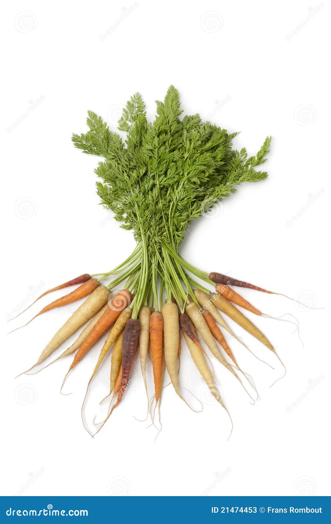 Frische Karotten in Den Verschiedenen Farben Stockbild - Bild von ...