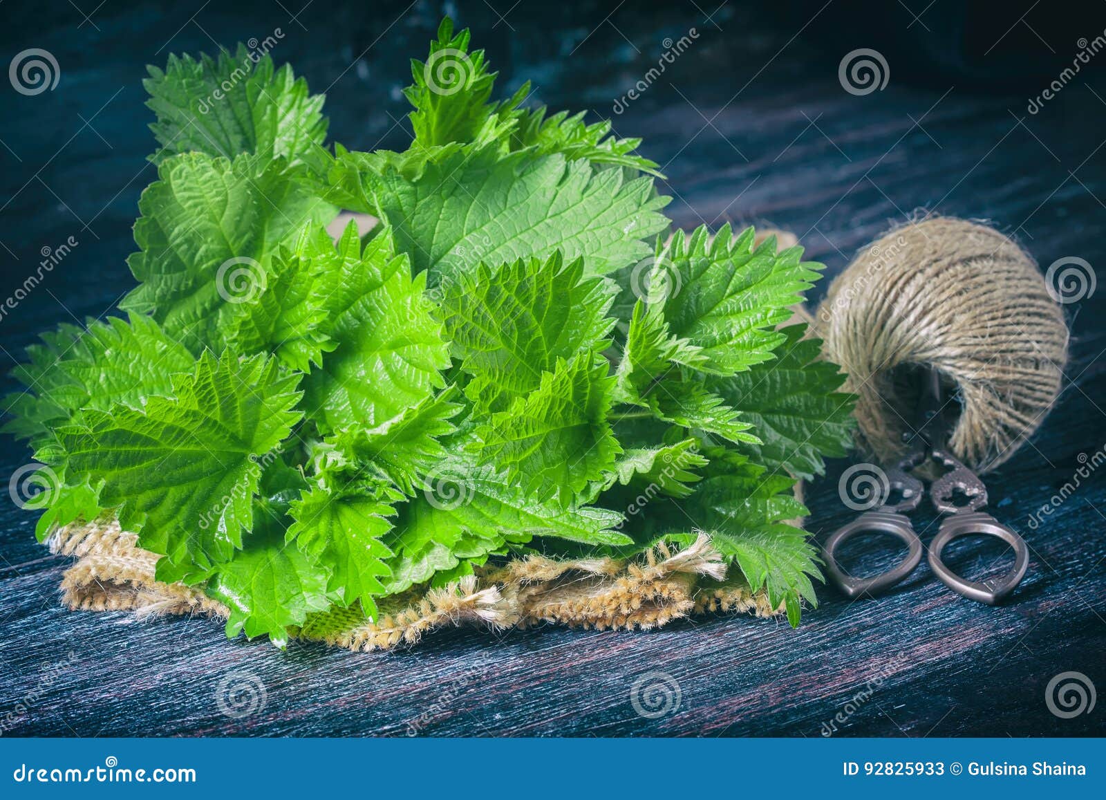 Frische Nessel Auf Einem Dunklen Hintergrund Stockbild - Bild von ...