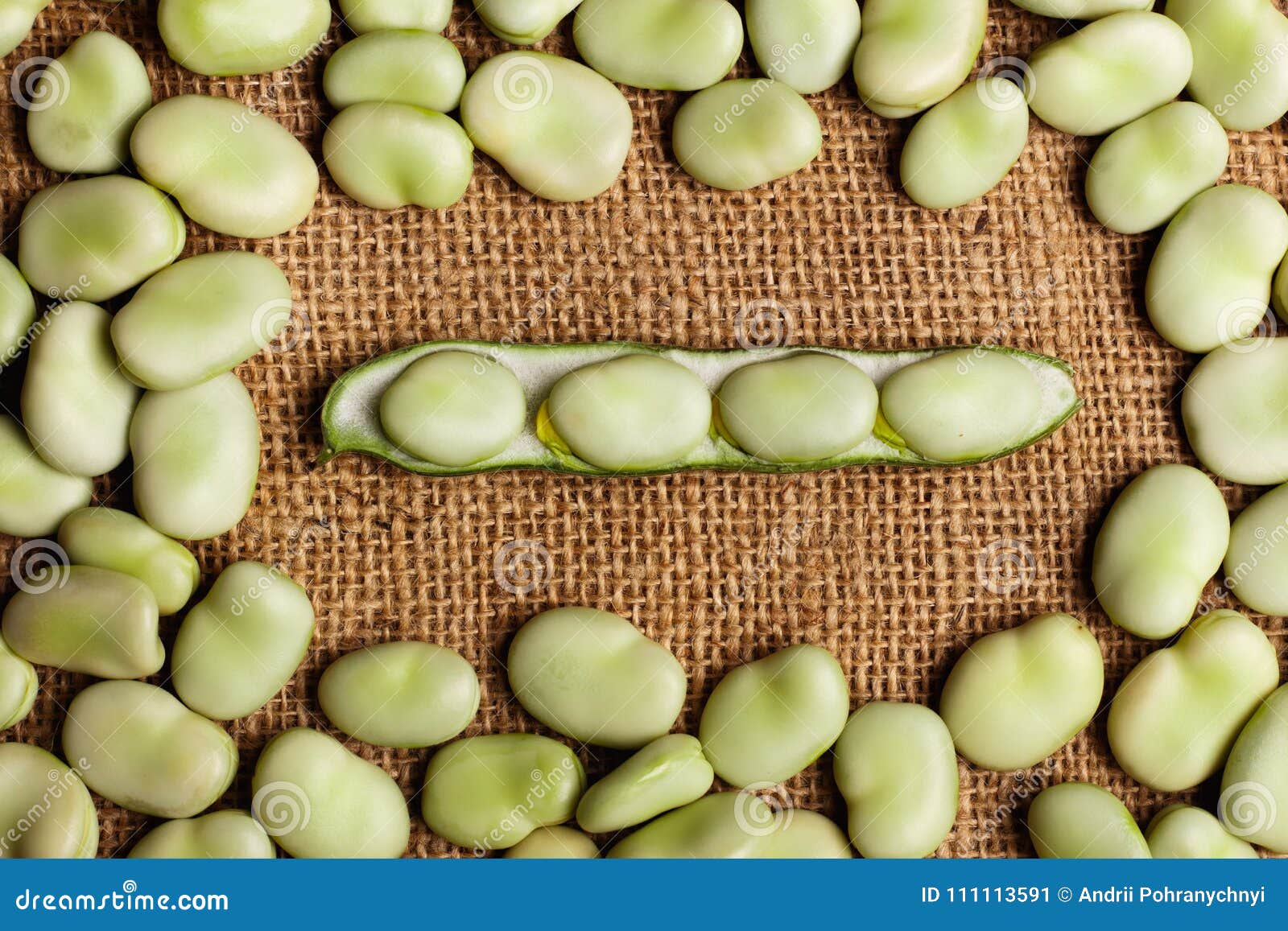 Frische Puffbohnen Auf Einem Rustikalen Hintergrund Stockbild - Bild ...