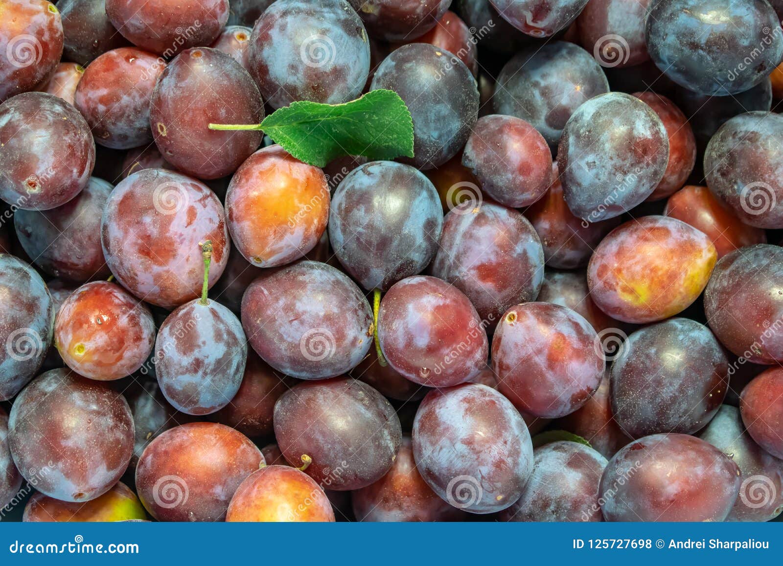 Frische Reife Rote Pflaumen Als Hintergrund Stockfoto - Bild von ...