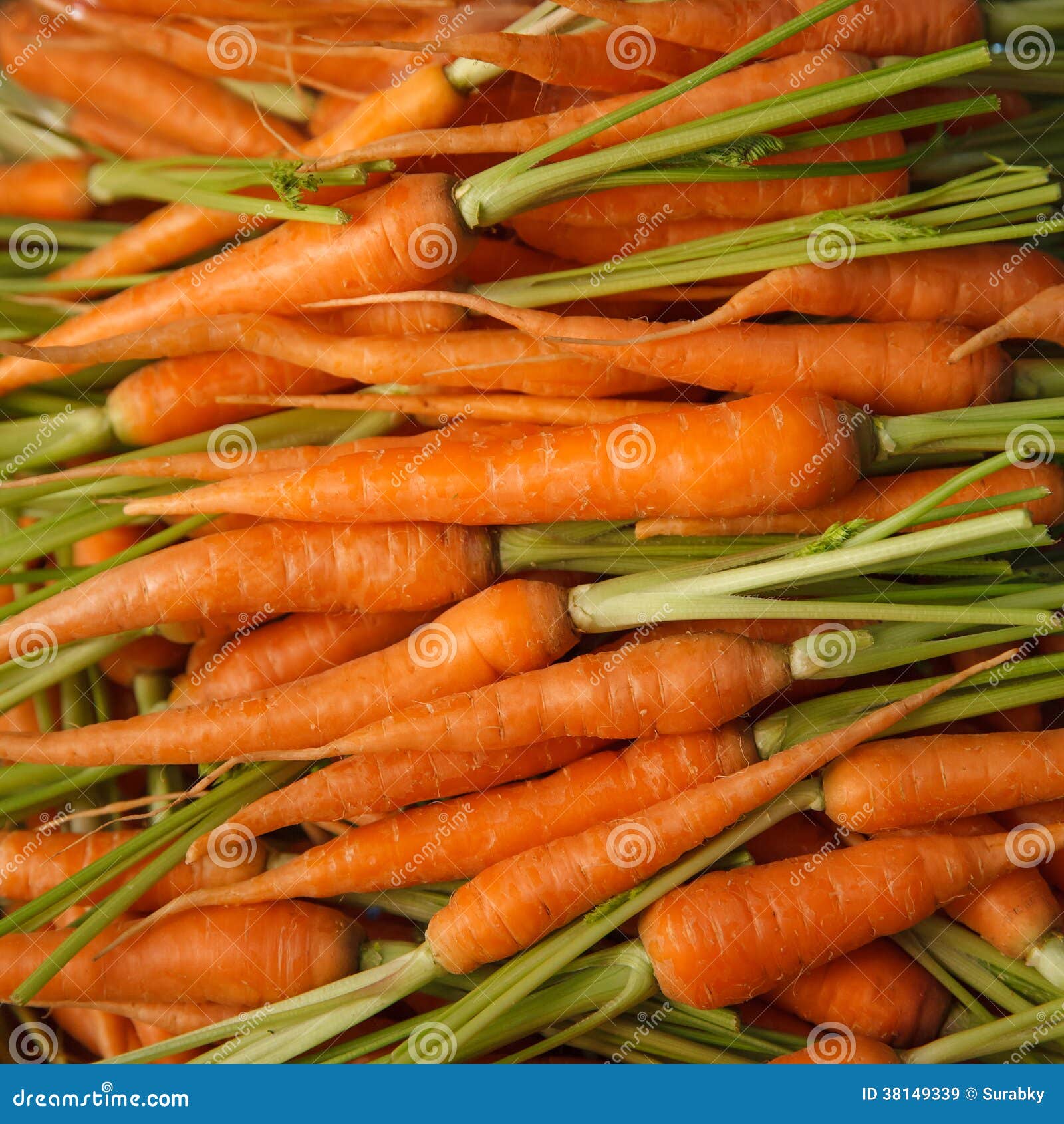 Frische und bunte Karotten stockbild. Bild von gemüse - 38149339