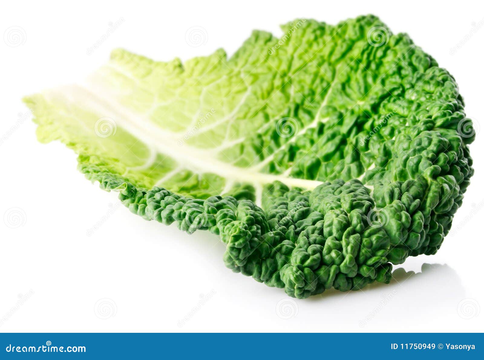 Frischer Grüner Blattkohl Getrennt Auf Weiß Stockbild - Bild von frisch ...