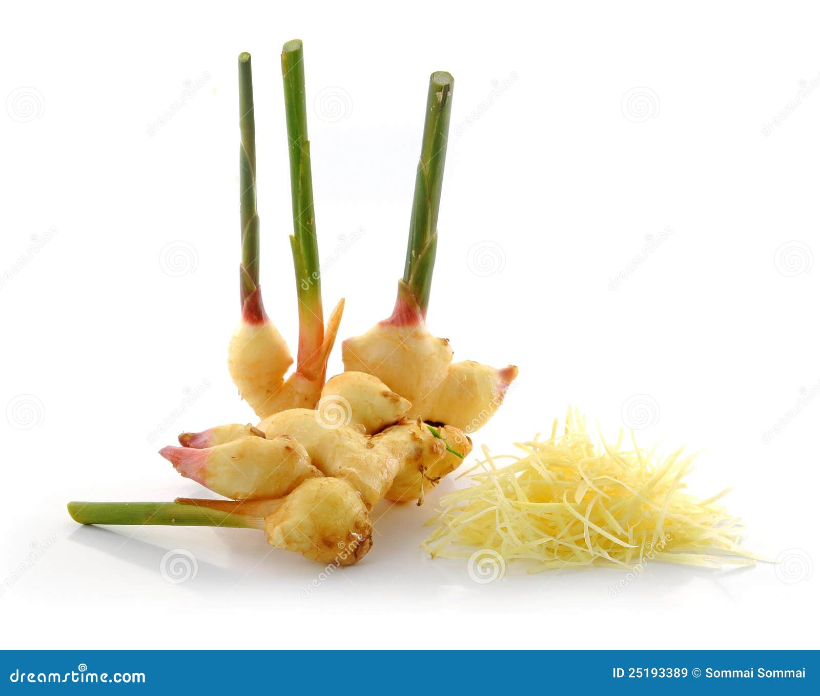 Frischer Ingwer stockbild. Bild von gewürze, gesund, kultur - 25193389