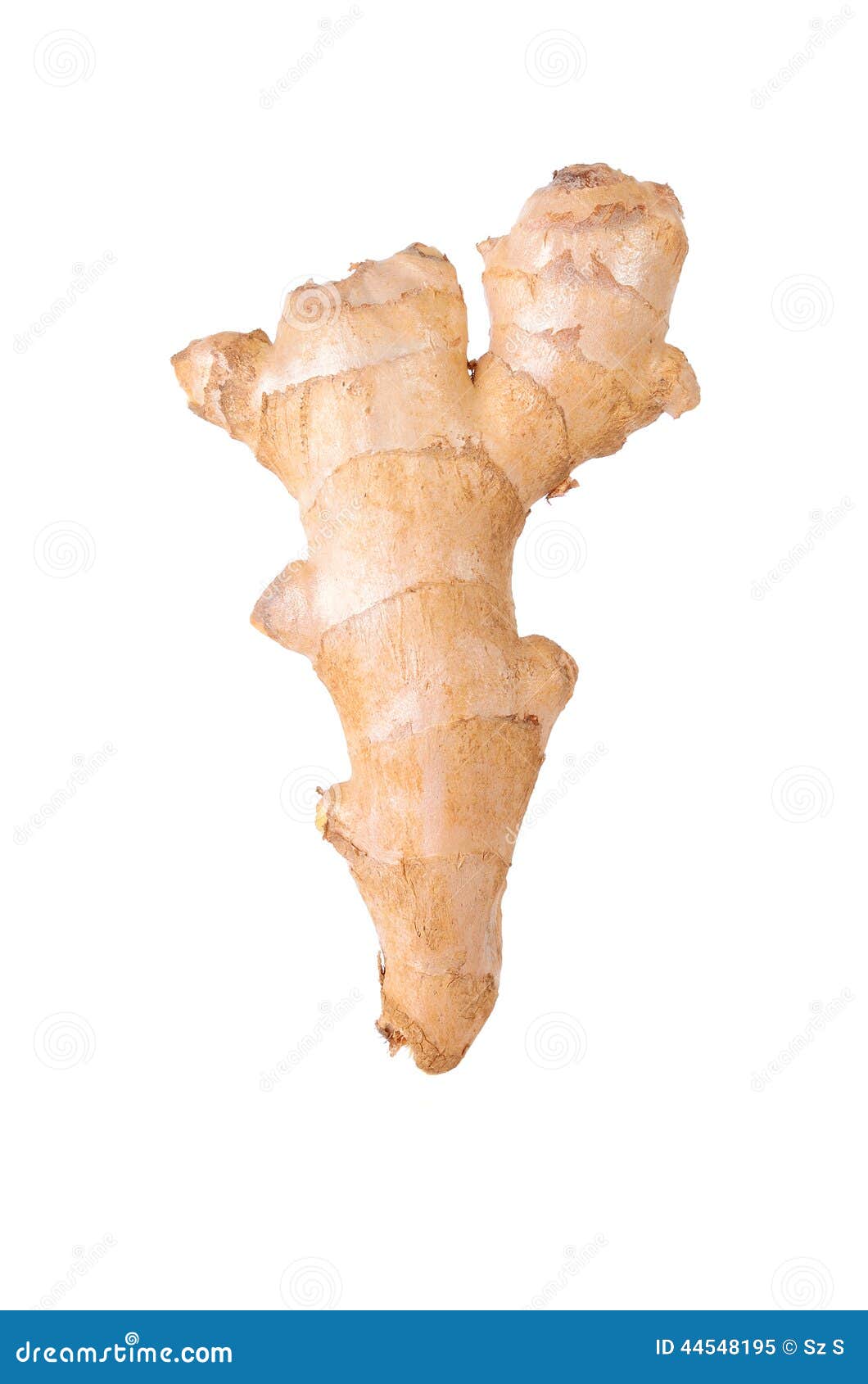 Frischer Ingwer Lokalisiert Auf Weiß Stockbild - Bild von essen, aroma ...