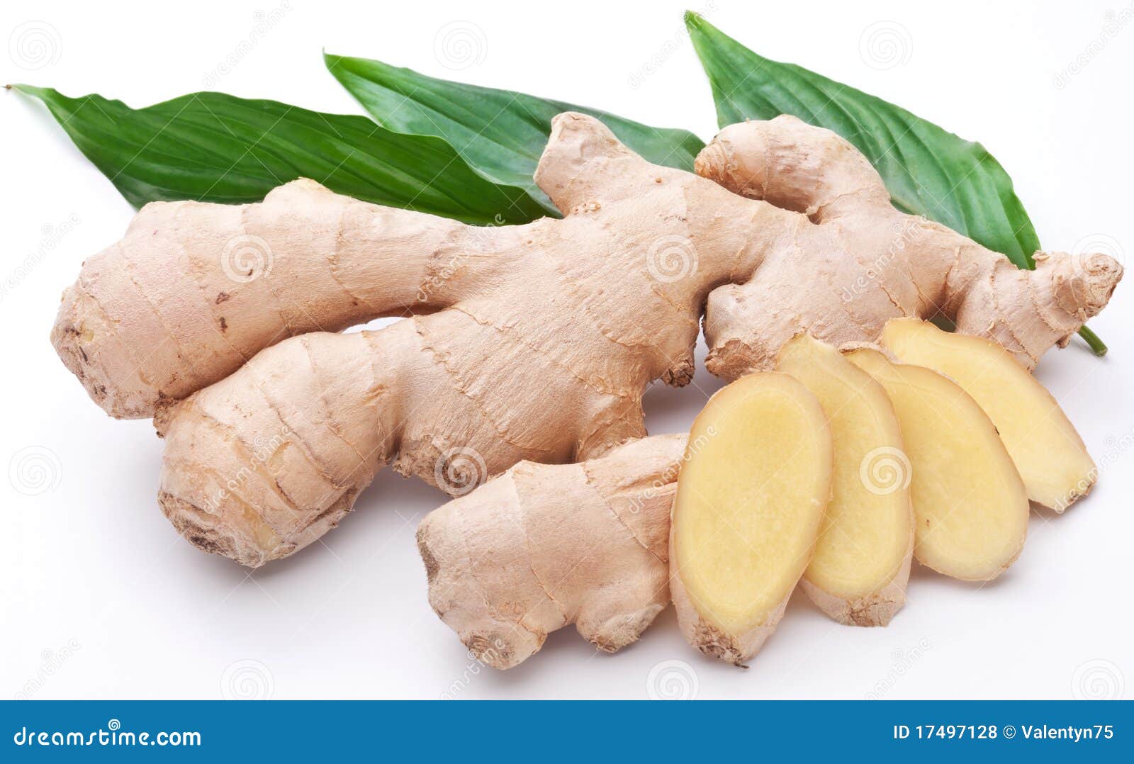 Frischer Ingwer Mit Blättern. Stockfoto - Bild von wurzel, gesund: 17497128