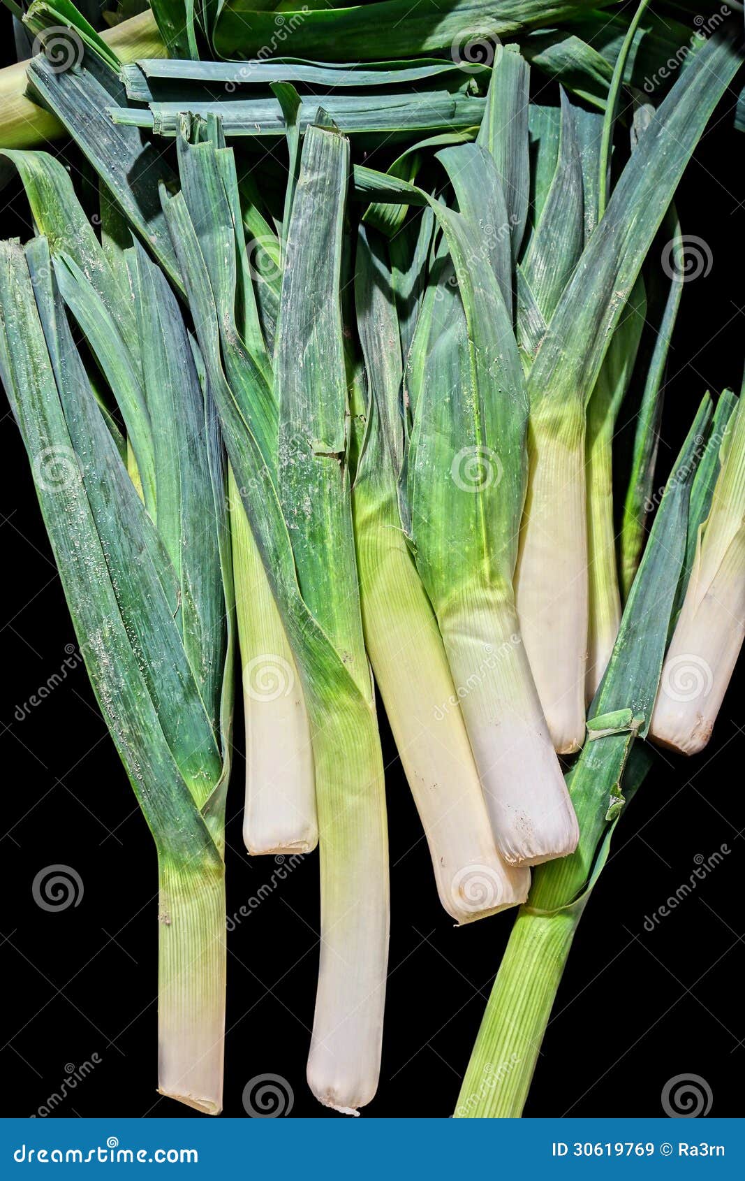 Frischer Porree stockbild. Bild von farbe, lauch, hintergründe - 30619769