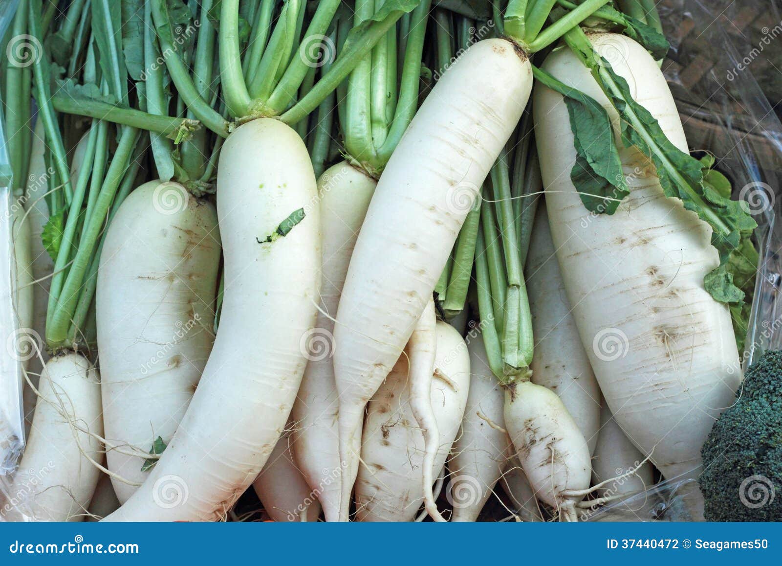 Frischer Rettich im Markt stockfoto. Bild von markt, diät - 37440472