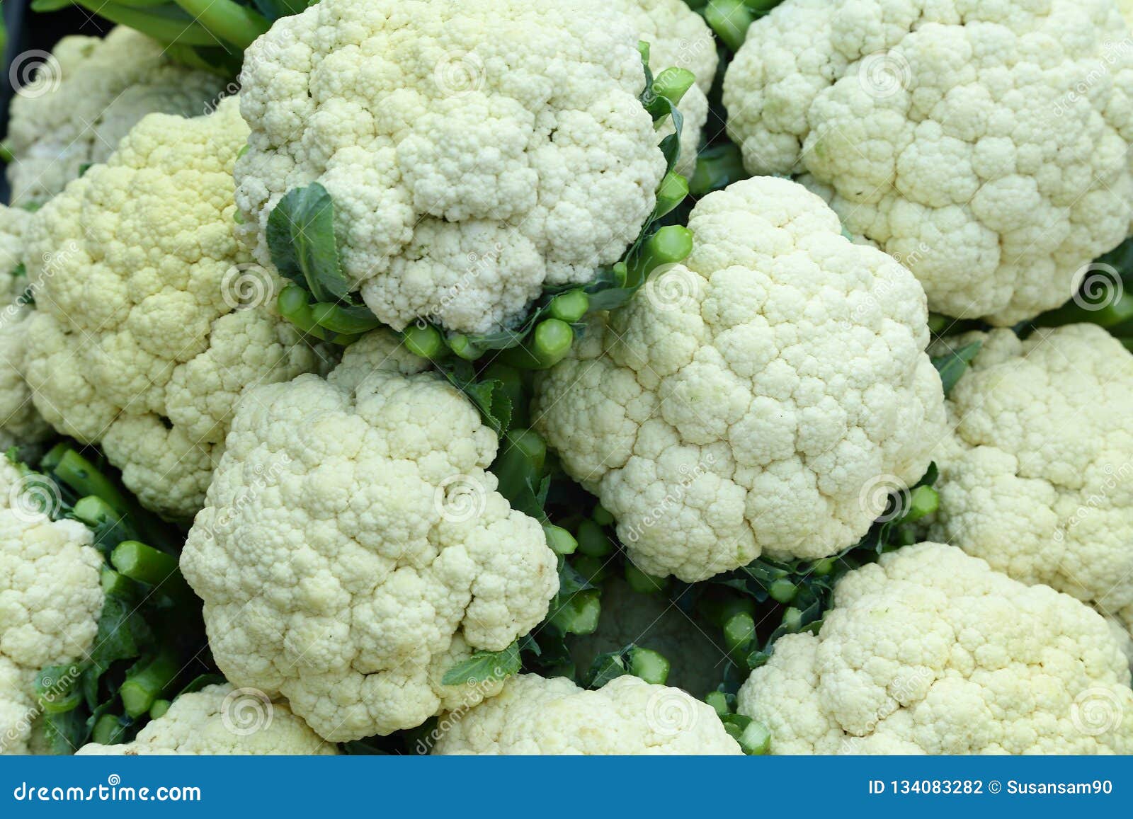 Frischer Roher Organischer Blumenkohl Vom Feld Stockfoto - Bild von ...