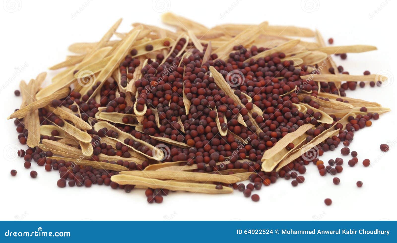 Frischer Senf stockfoto. Bild von duftend, nahaufnahme - 64922524