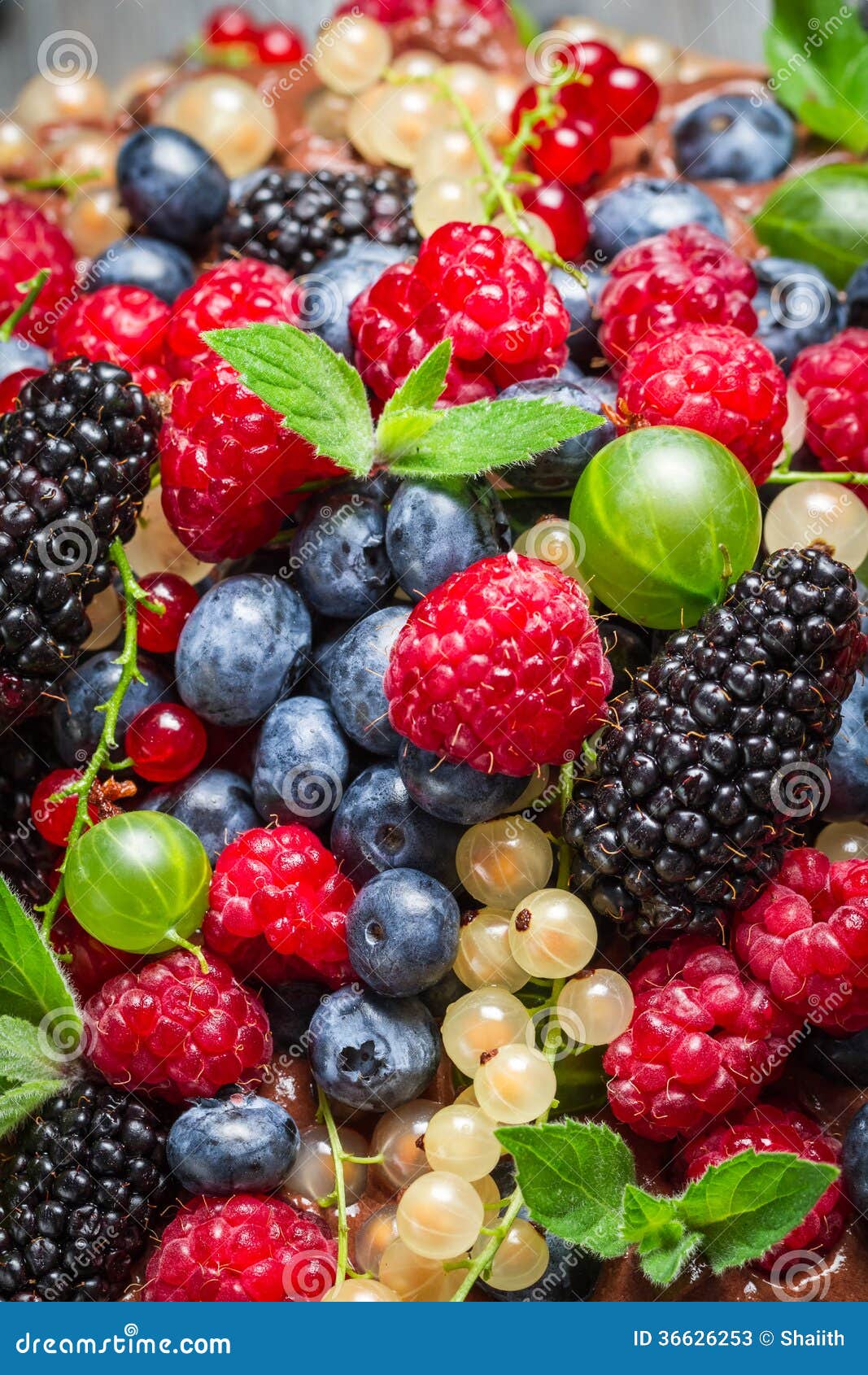 Frisches Beerenobst stockbild. Bild von lebensstil, landschaft - 36626253
