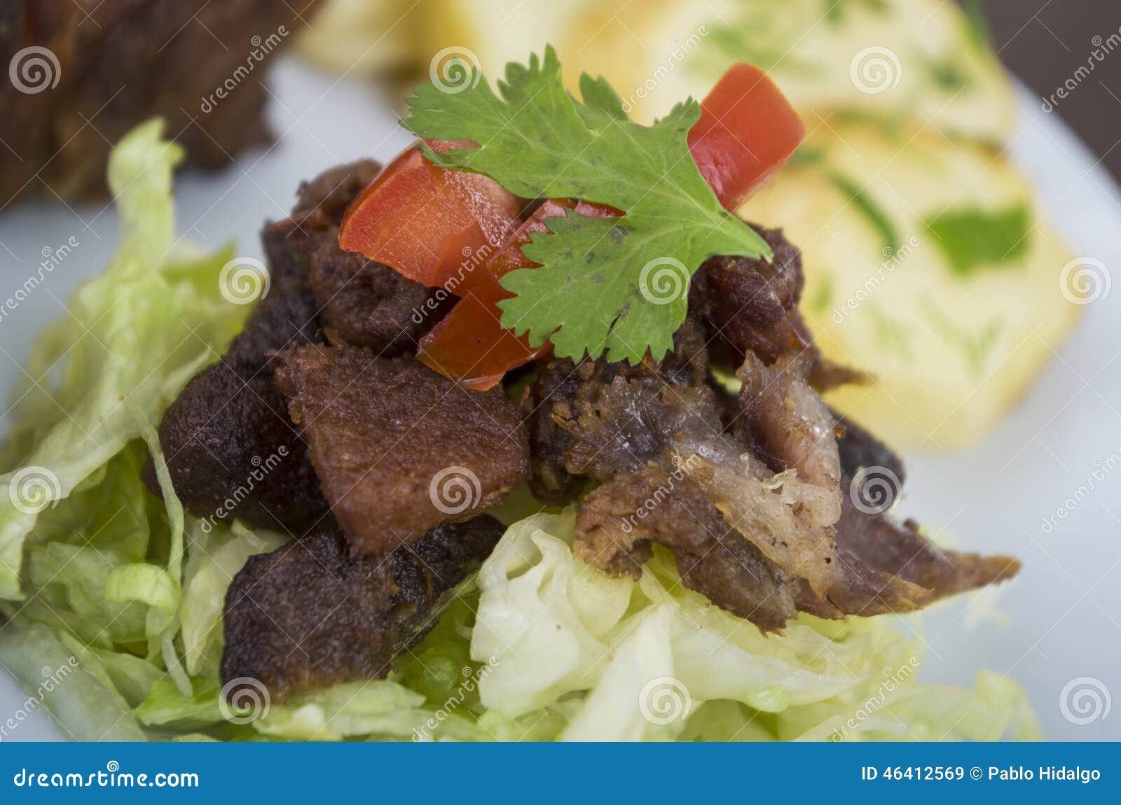 Fritada Fried Pork Ecuadorian Plate Stock Image - Image of coriander ...