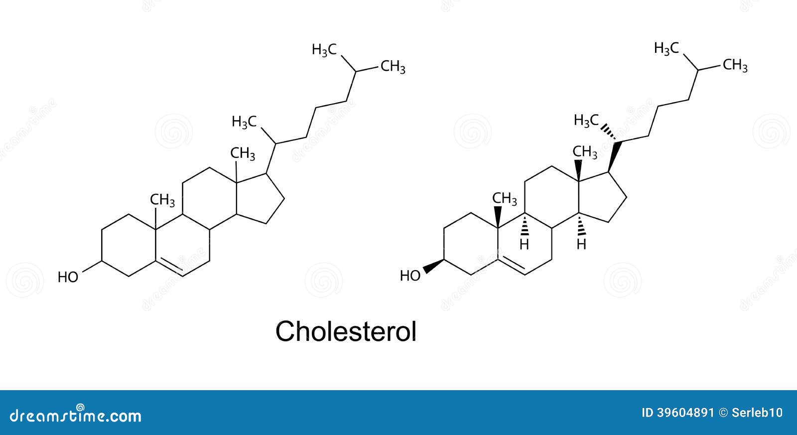 Fórmulas Estructurales De La Molécula Del Colesterol Ilustración del ...