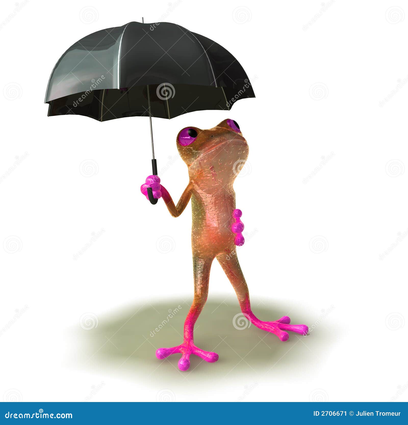 Frog afraid of rain stock illustration. Illustration of amphibian - 2706671