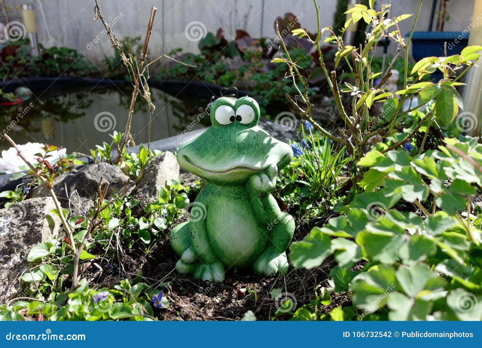Frog, Amphibian, Toad, Plant Picture. Image: 106732542