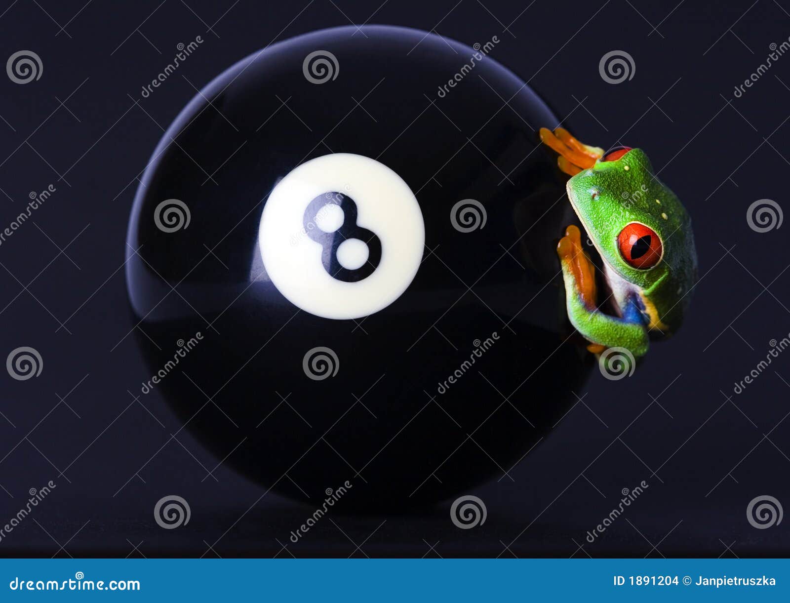 Frog on the ball stock photo. Image of agalychnis, damp - 1891204