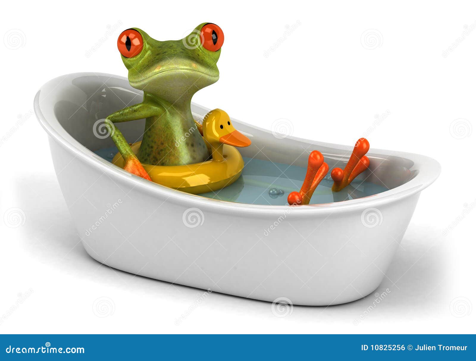 Frog In A Bath Stock Photography | CartoonDealer.com #10825256