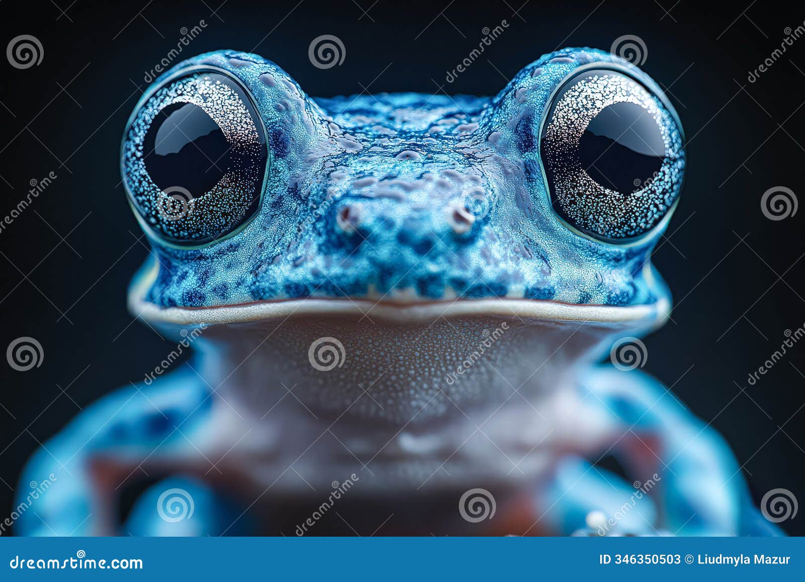 Frog with Big Eyes and a Blue Face Stock Image - Image of cute, green ...