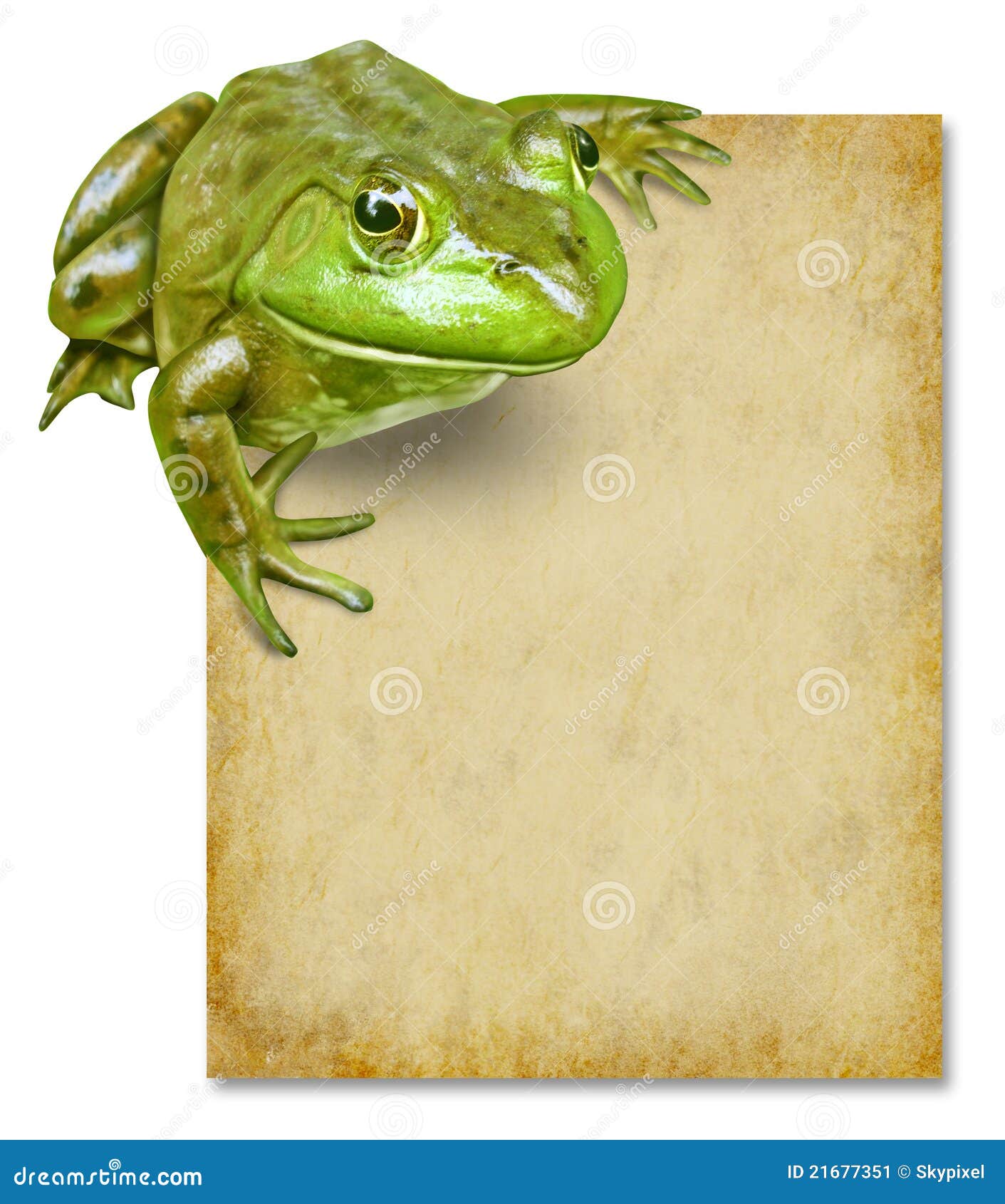 Frog With Blank Sign Stock Photography | CartoonDealer.com #21588356