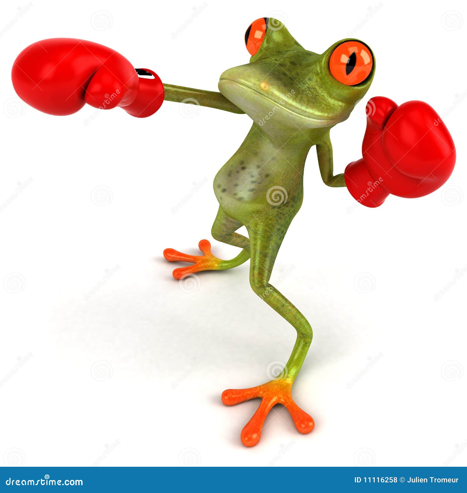 Frog boxing stock illustration. Illustration of environment - 11116258