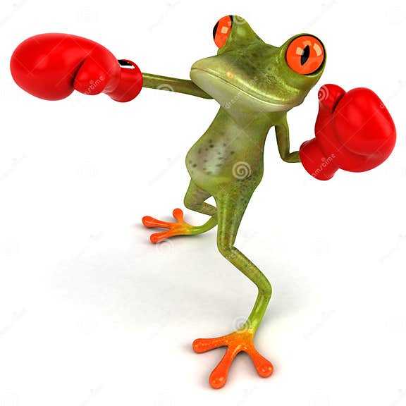 Frog boxing stock illustration. Illustration of environment - 11116258