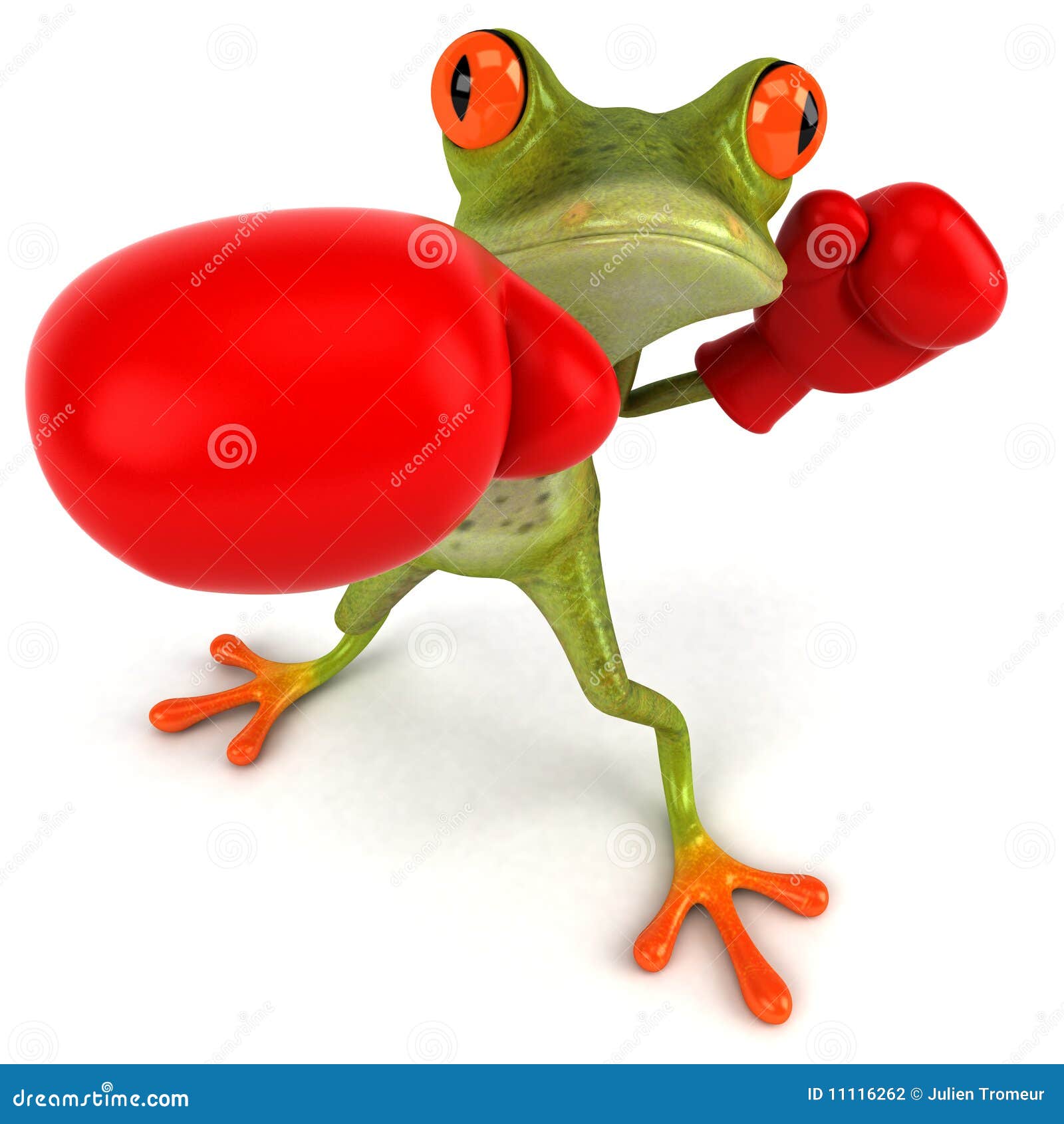 Frog boxing stock illustration. Illustration of tropics - 11116262