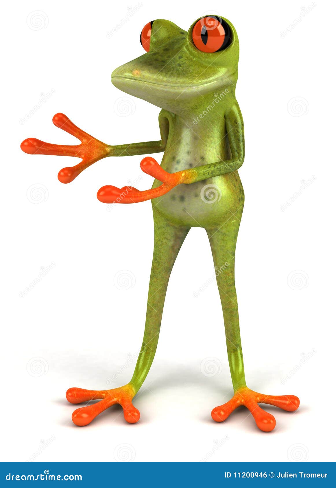 Frog boxing stock illustration. Illustration of tropical - 11200946