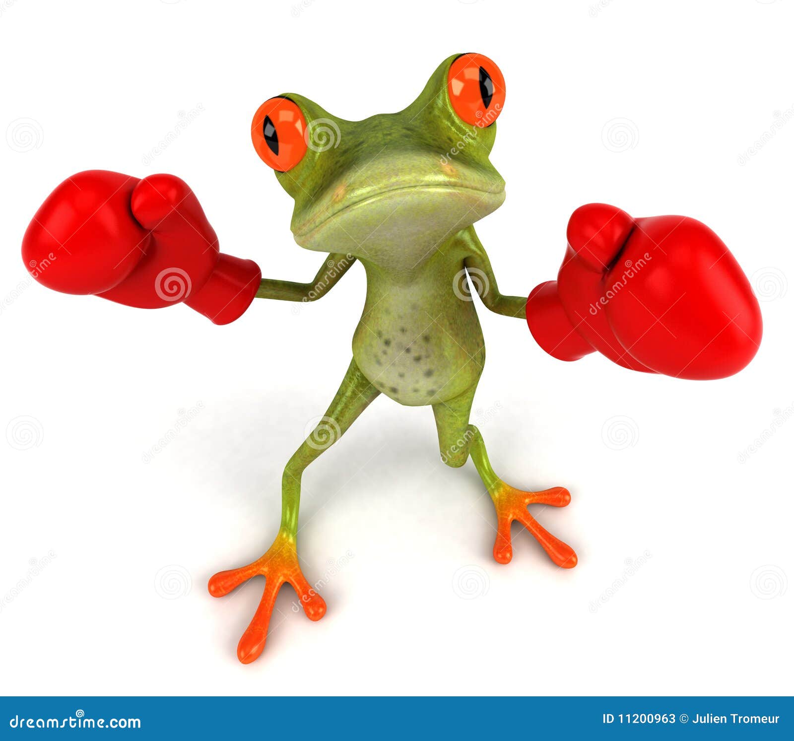 Frog boxing stock illustration. Illustration of animal - 11200963