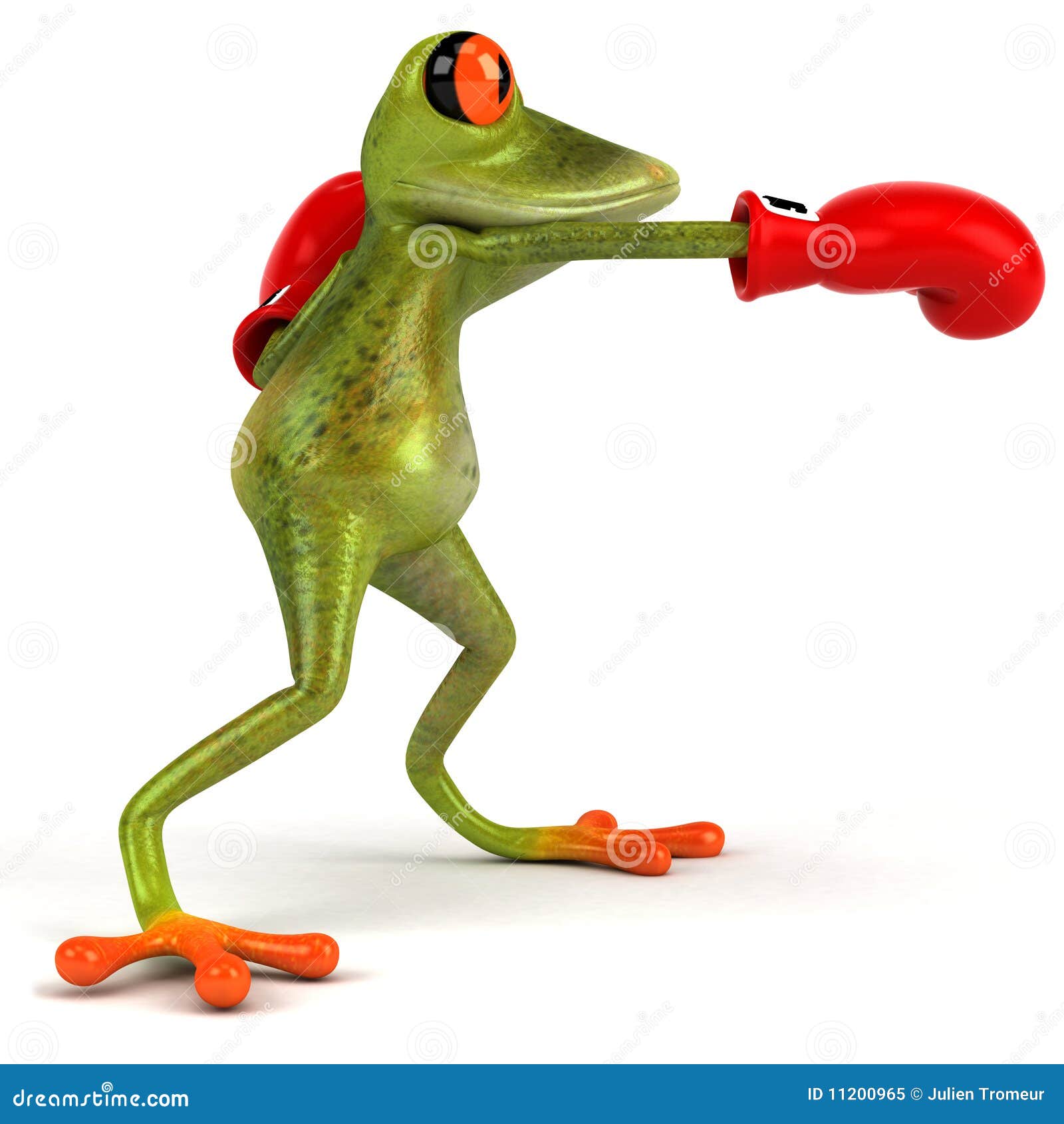 Frog boxing stock illustration. Illustration of rain - 11200965