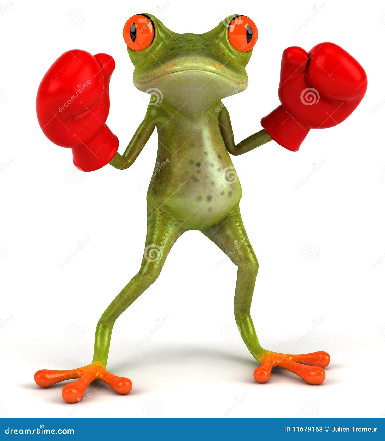 Frog boxing stock illustration. Illustration of rain - 11679168