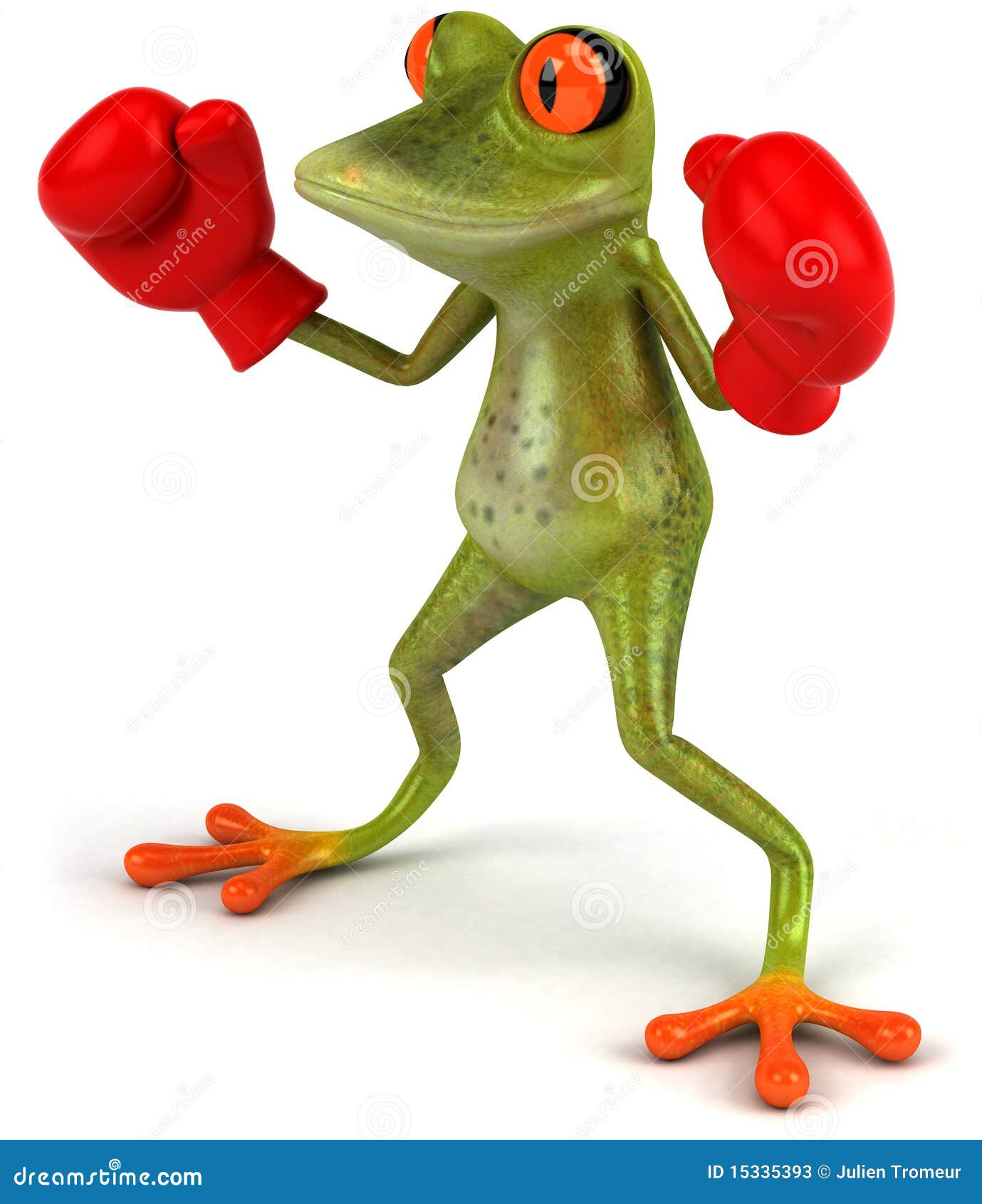 Frog boxing stock illustration. Illustration of ecology - 15335393