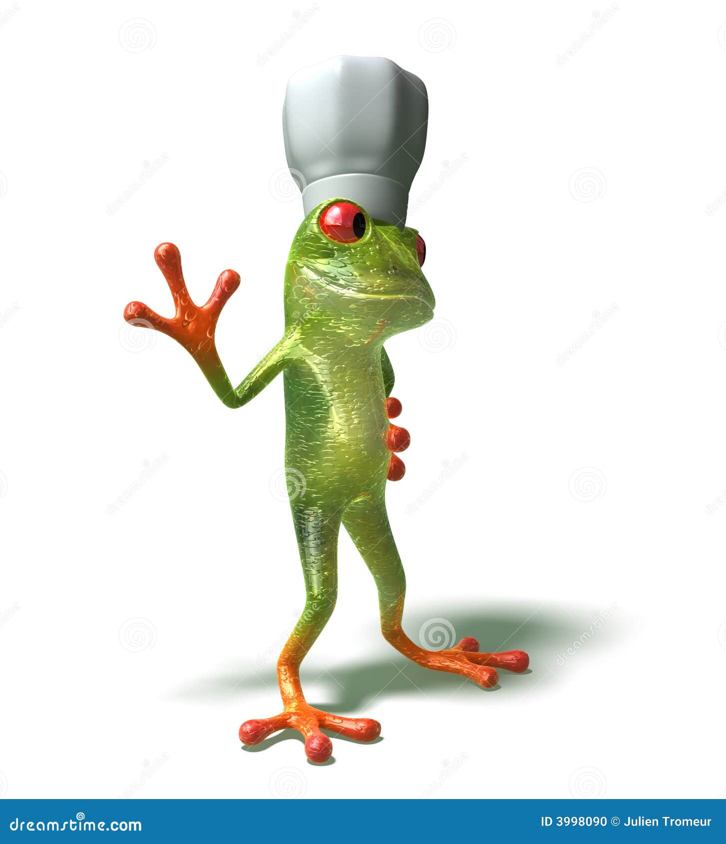 Frog chef stock illustration. Illustration of forest, amazonian - 3998090