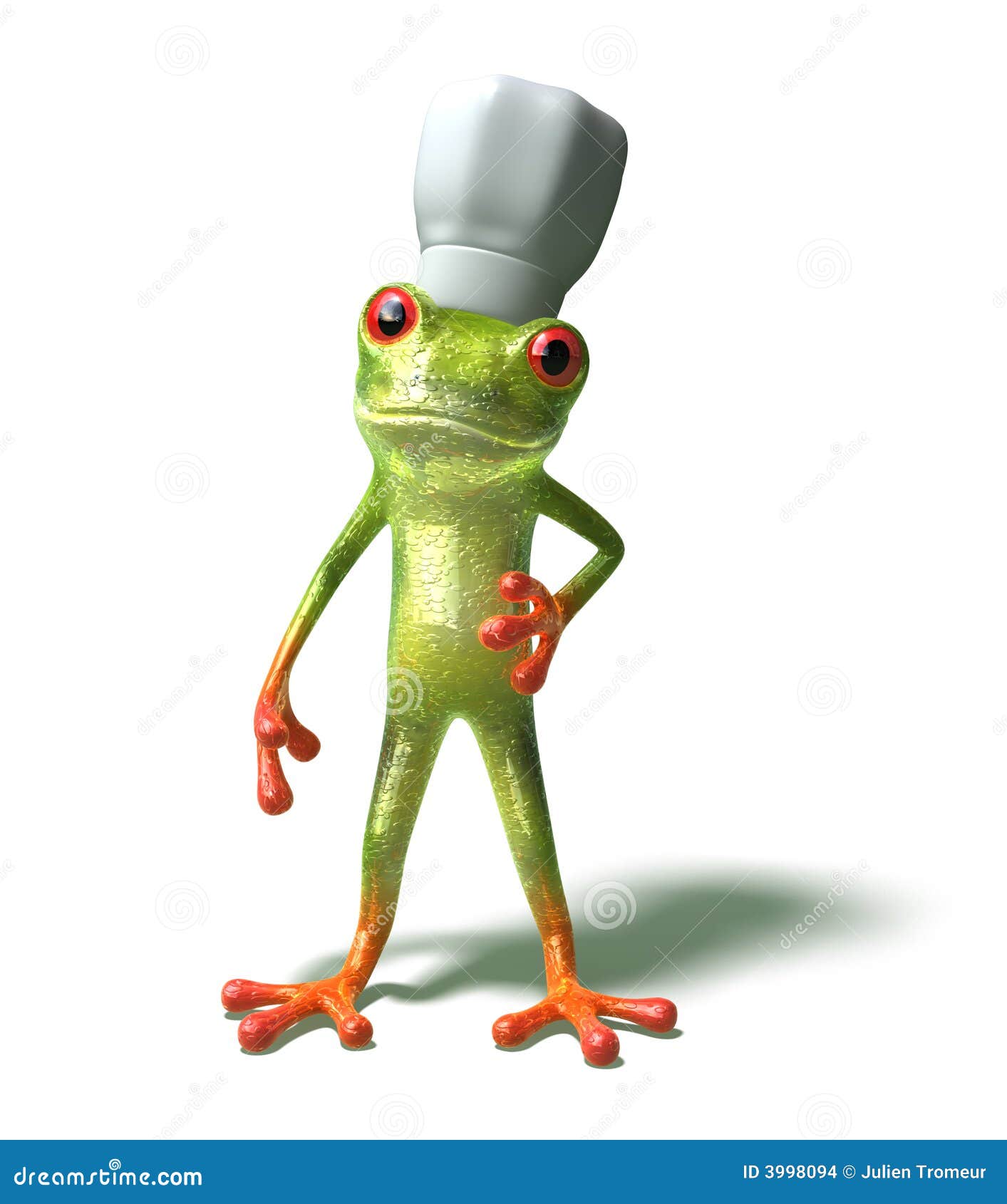 Frog chef stock illustration. Illustration of wildlife - 3998094