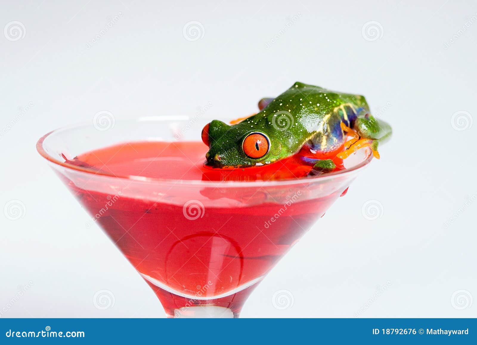 Frog Cocktail stock photo. Image of martini, tropical - 18792676