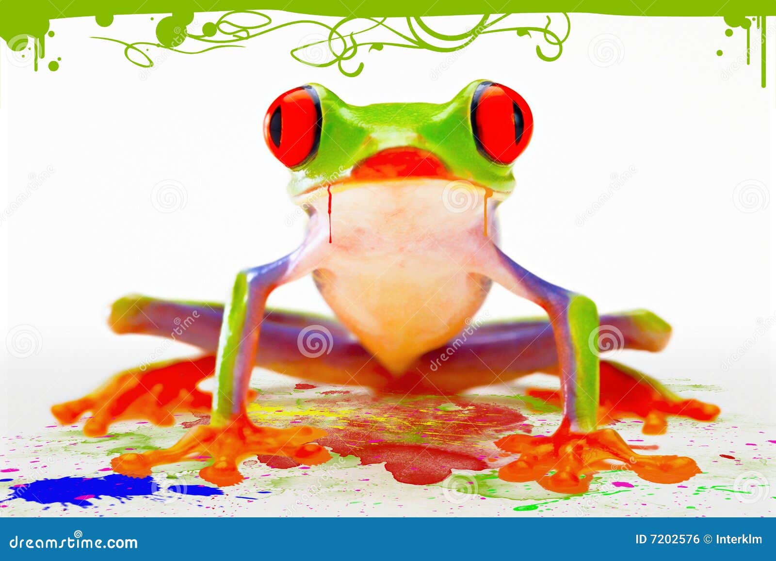 Frog color stock illustration. Illustration of pits, frog - 7202576