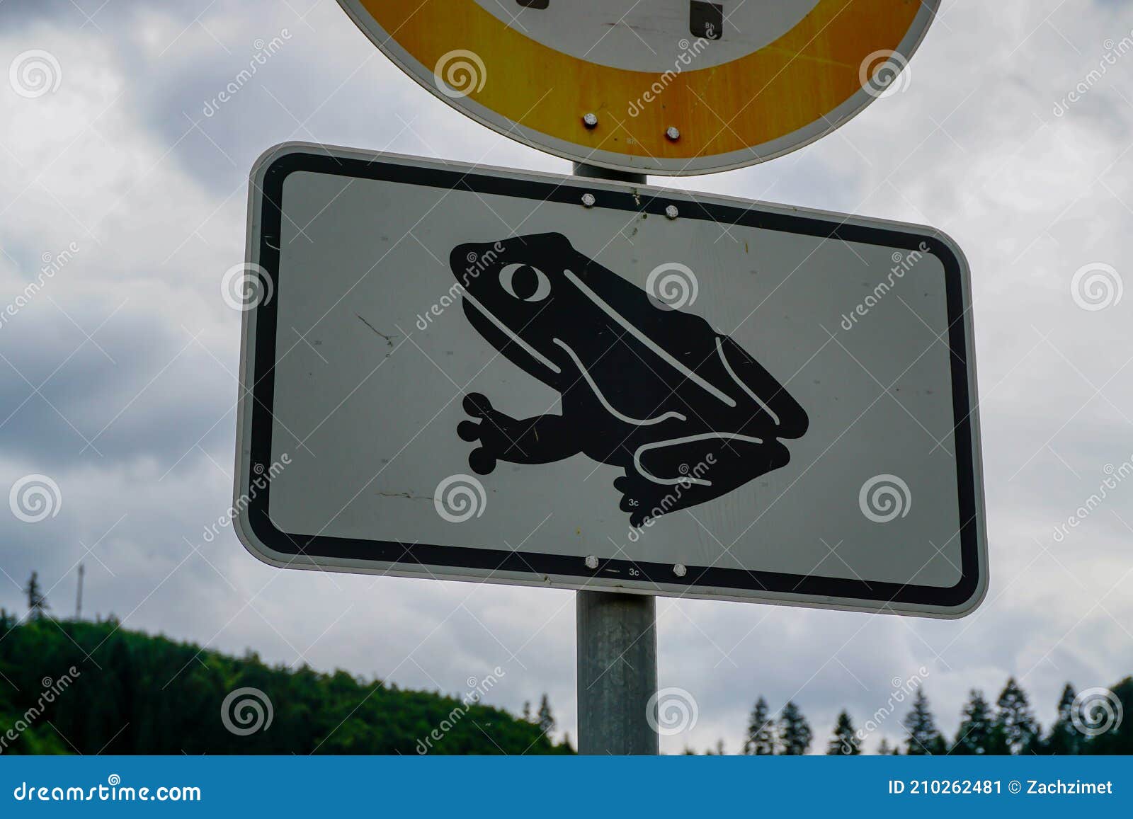 Frog Crossing A Water Discharge Stock Image | CartoonDealer.com #194795707